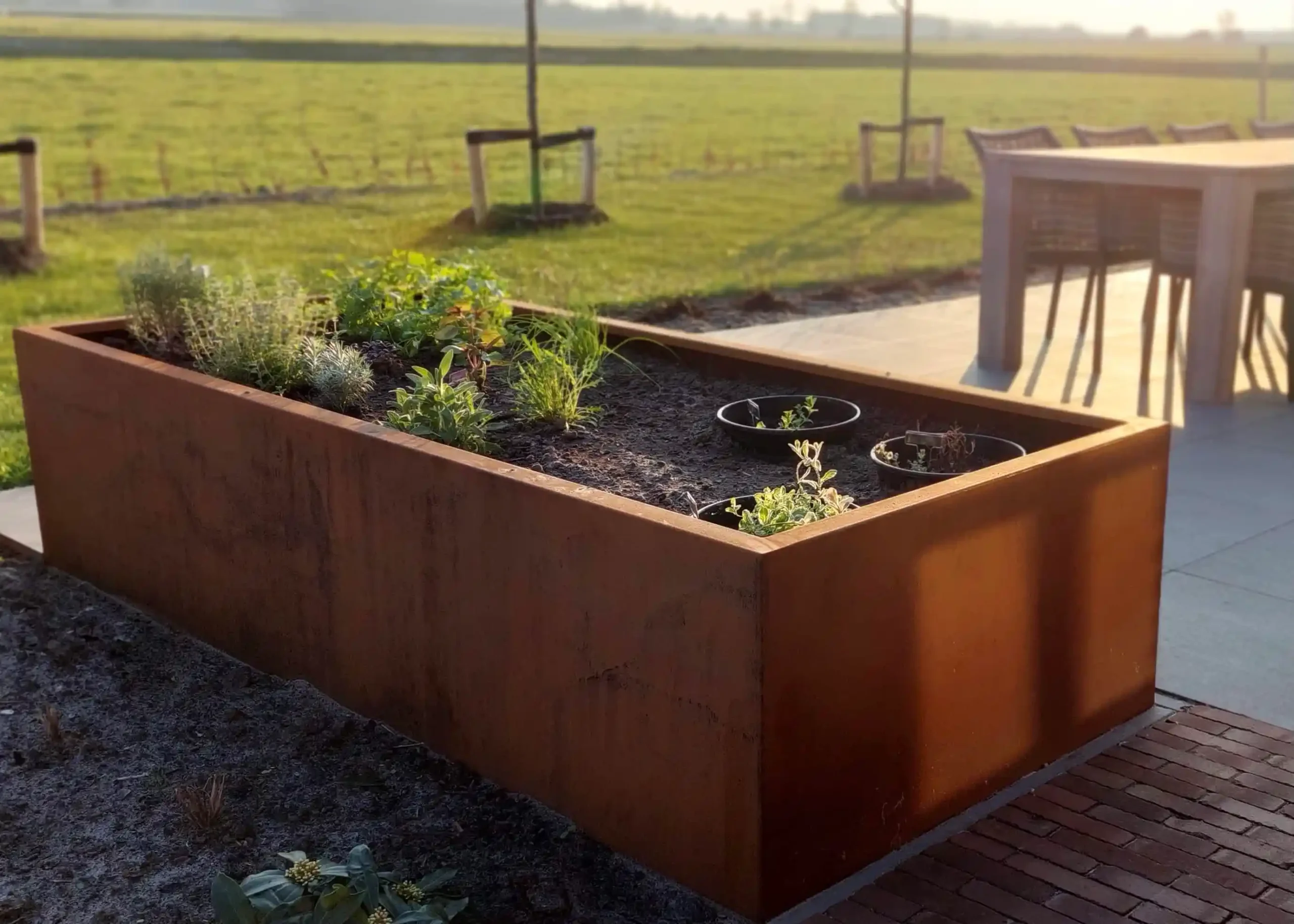 Categorie: Cortenstaal - AC Tuincentrum